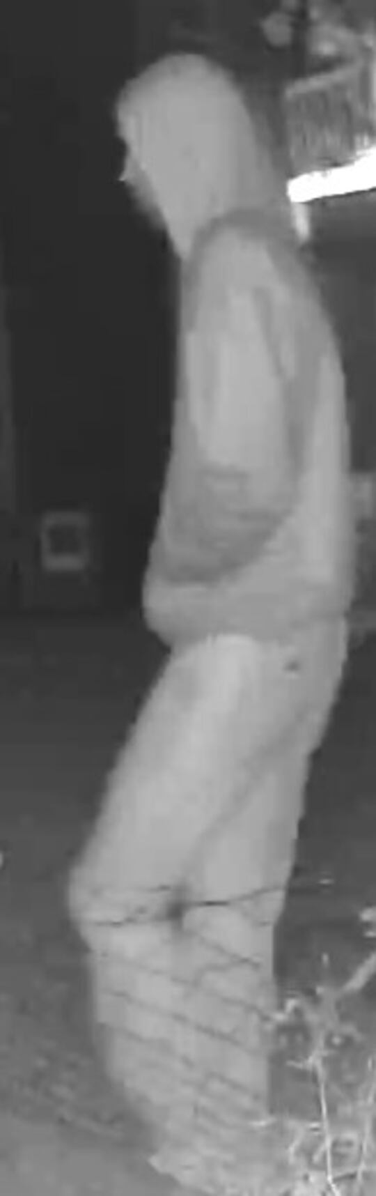 Madison police searching for man who keeps peering through windows Madison police searching for man who keeps peering through windows