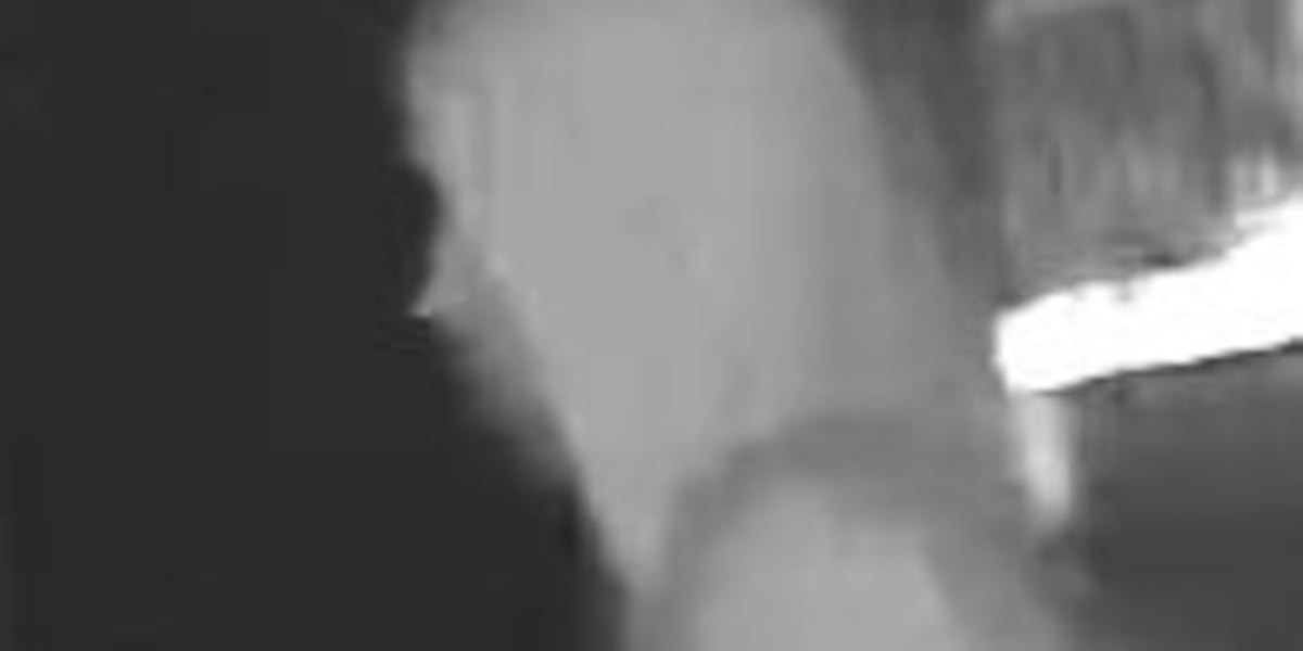 Madison police searching for man who keeps peering through windows Madison police searching for man who keeps peering through windows